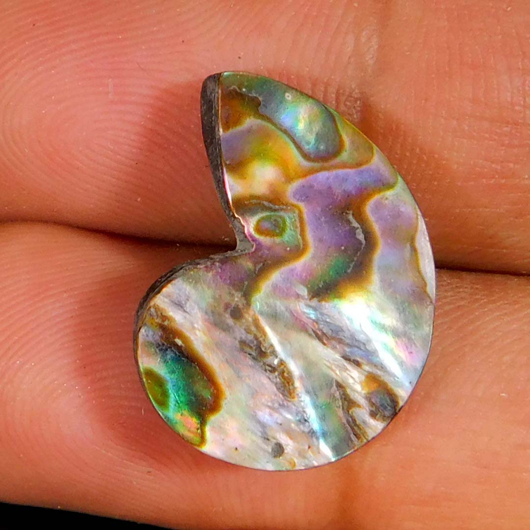 Natural Paua Abalone Shell Fancy Shape 11.55Cts. Reiki Healing Loose ...