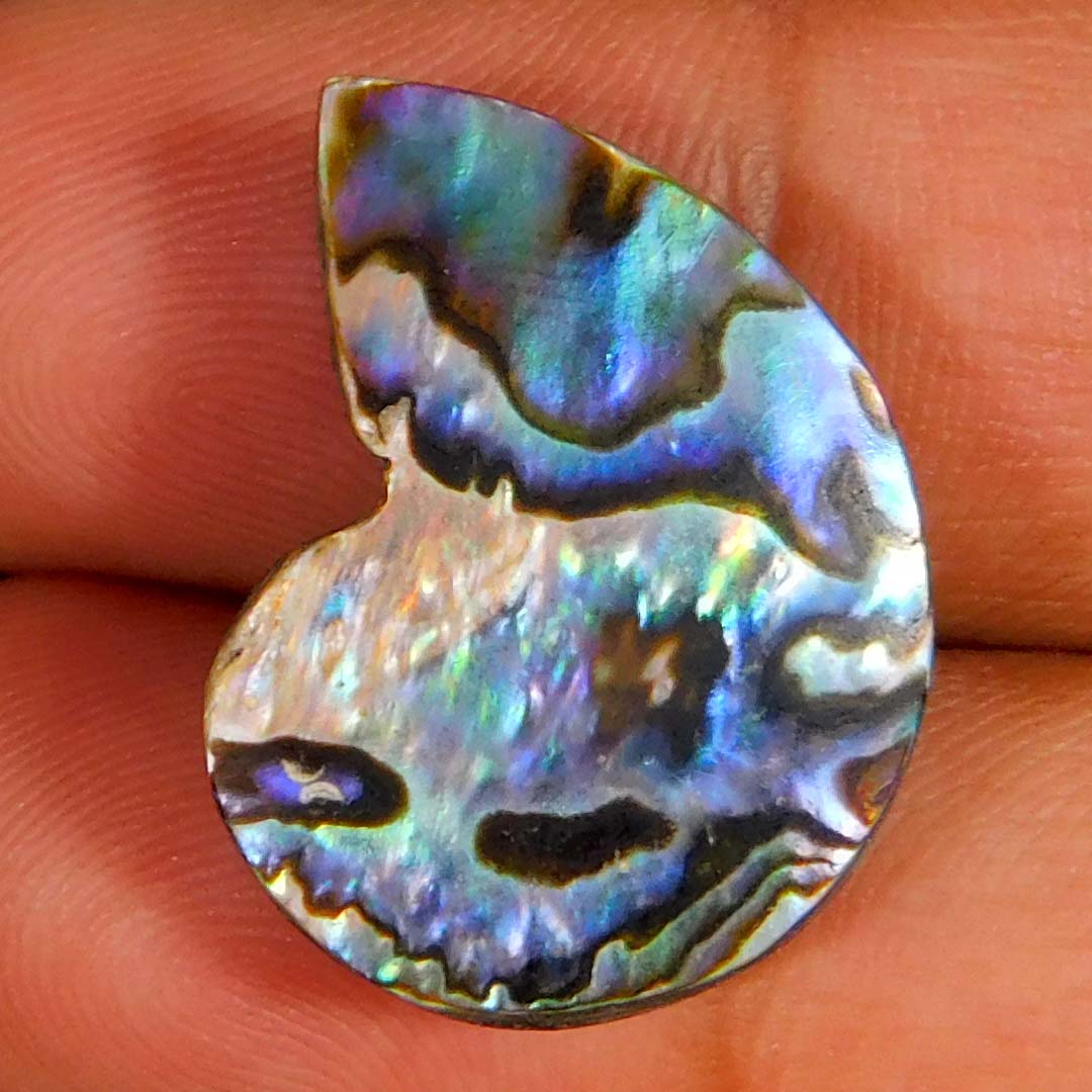 Natural Paua Abalone Shell Fancy Shape 16.40Cts. Reiki Healing Loose ...